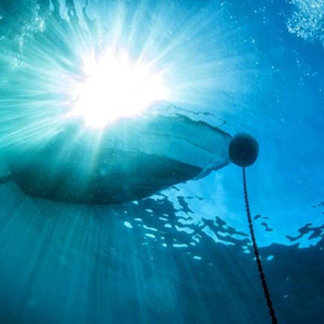 Stream Anchoring Your Meditation by Wise Caregiving | Listen online for ...