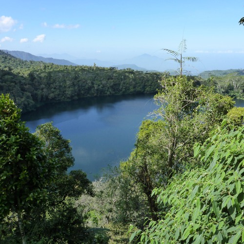 Stream Native Kids Swimming In A Remote Forest Lake by Daniël Majoor ...