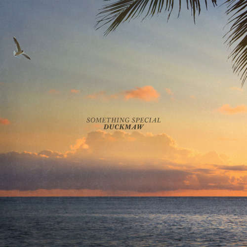 Stream Something Special by Duckmaw | Listen online for free on SoundCloud