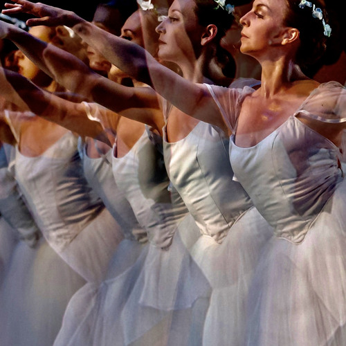 Stream Creatures Ballet by graphisound | Listen online for free on ...