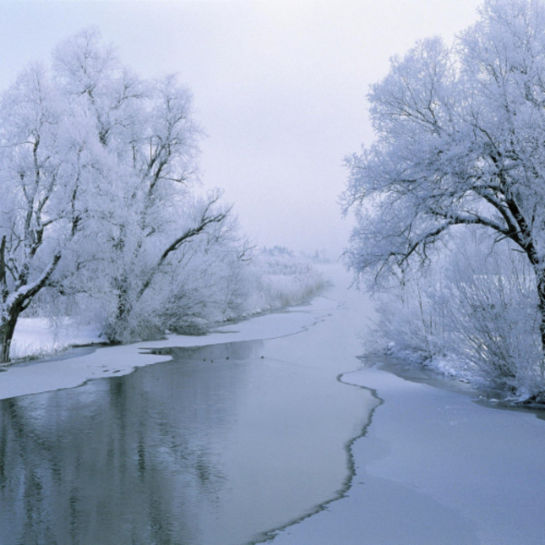 Stream Jack Storm | Listen to Frozen lands playlist online for free on ...