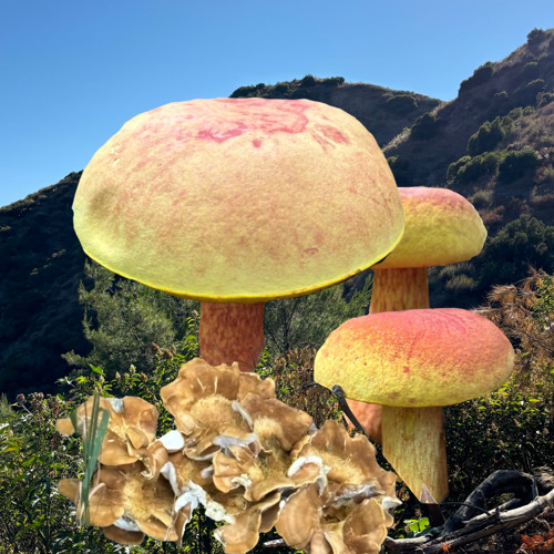 Stream Experimenting by King Karson | Listen online for free on SoundCloud