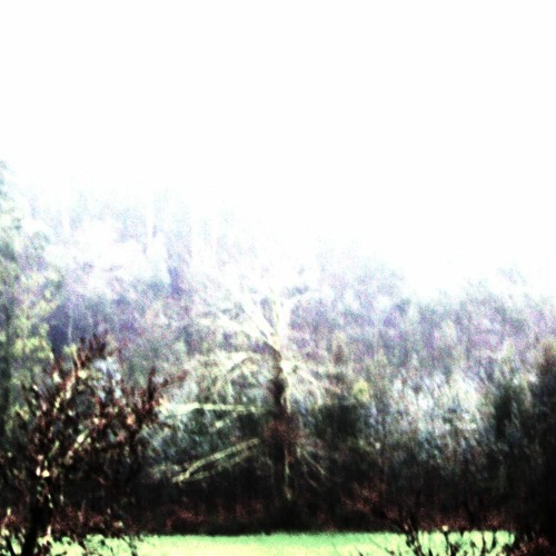 Stream bosque paralisis by KHUG | Listen online for free on SoundCloud