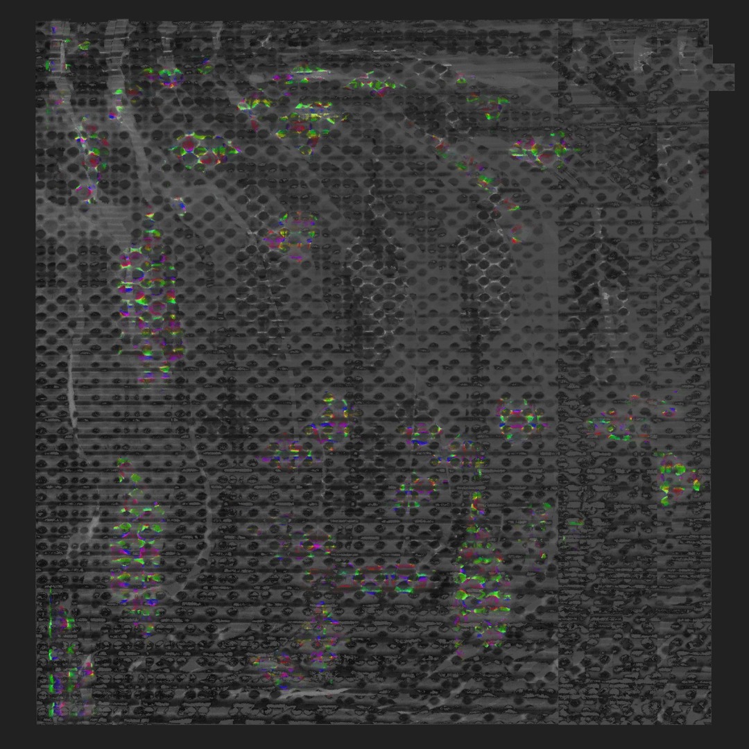 Stream Lyeform - Terrascape by French Tabloïd | Listen online for free ...