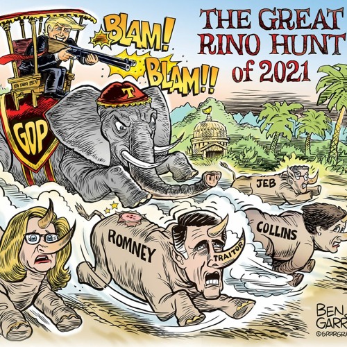 Stream episode Current Midterm Turnout Is Huge - Trends- And RINOS ... Stream episode Current Midterm Turnout Is Huge - Trends- And RINOS ...