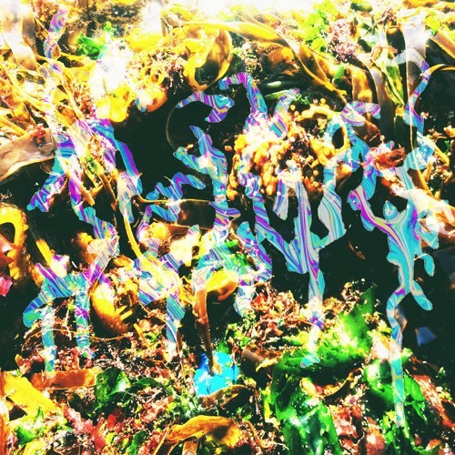 Stream Olga Productions | Listen to Real Trvth – SCÛM playlist online ...