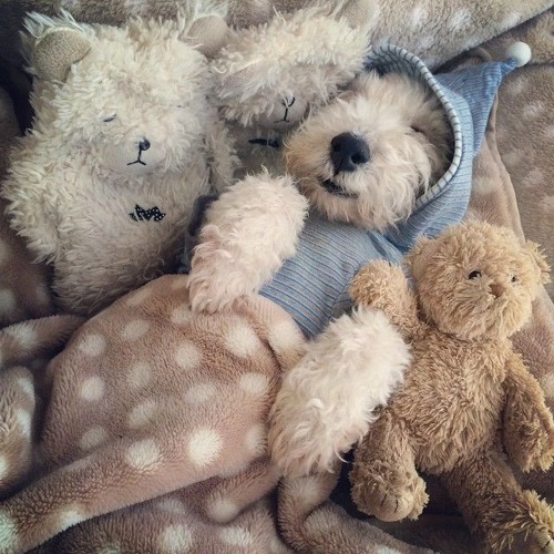 Stream DJ SPUNCHBAWB! | Listen to OSA MASON 2!!!!! playlist online for ...