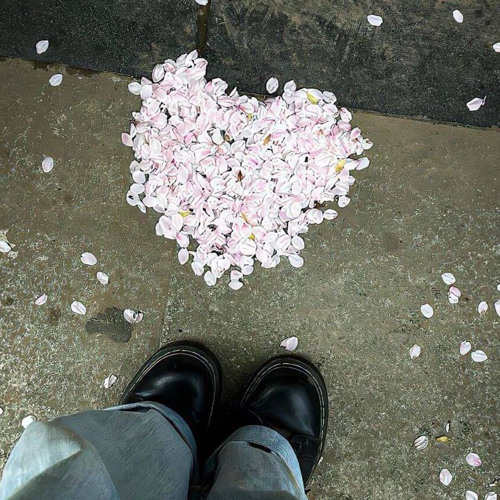 Stream Vernalagnia 1 by Hoàng Huy | Listen online for free on SoundCloud