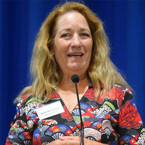 Stream 2024 Division 4 - Deb Dennien by South Burnett Online | Listen ...