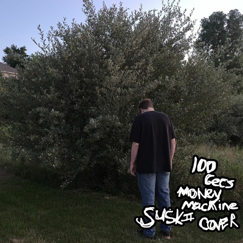 Stream 100 gecs - money machine (COVER) by Suskii | Listen online for ...