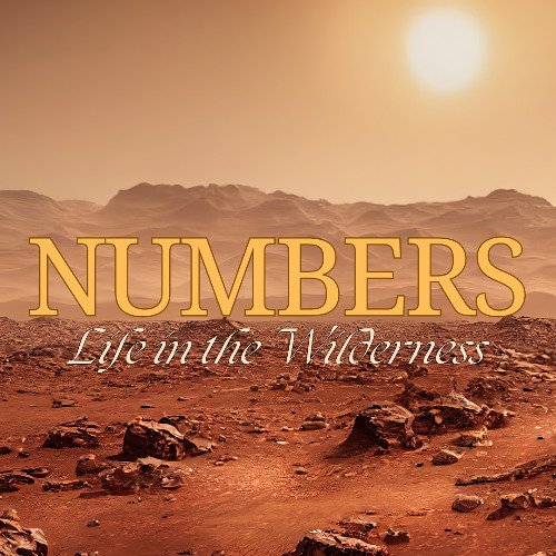 Stream "Remembering God's Grace (Numbers 15)", Austin Gooch | 3/23/25 ...