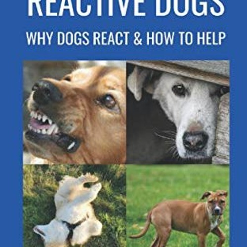 Stream %= Understanding Reactive Dogs, Why Dogs React and How to Help ... Stream %= Understanding Reactive Dogs, Why Dogs React and How to Help ...