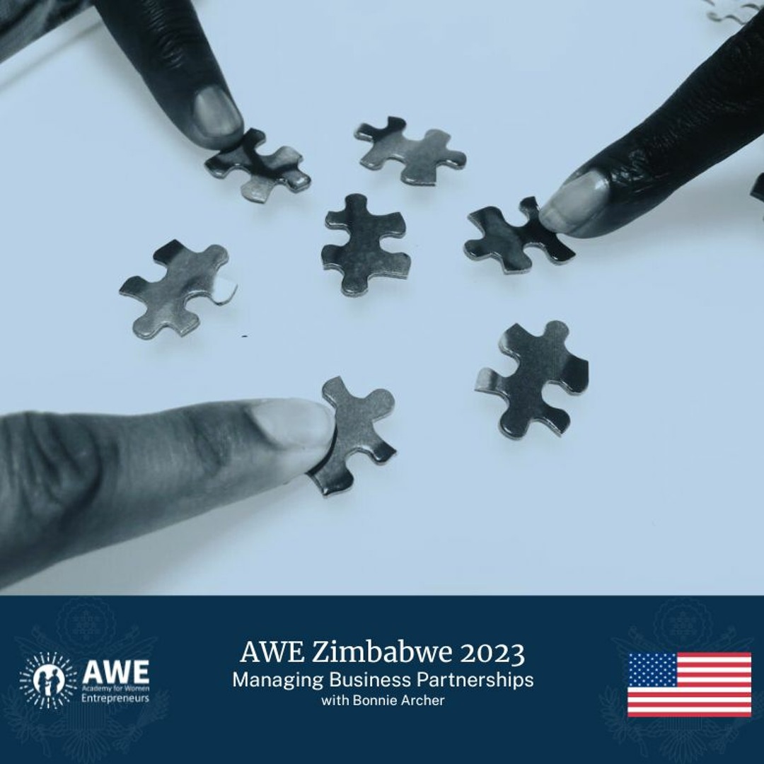 Stream episode AWE Virtual Speaker Series_Business Partnerships. Bonnie ...