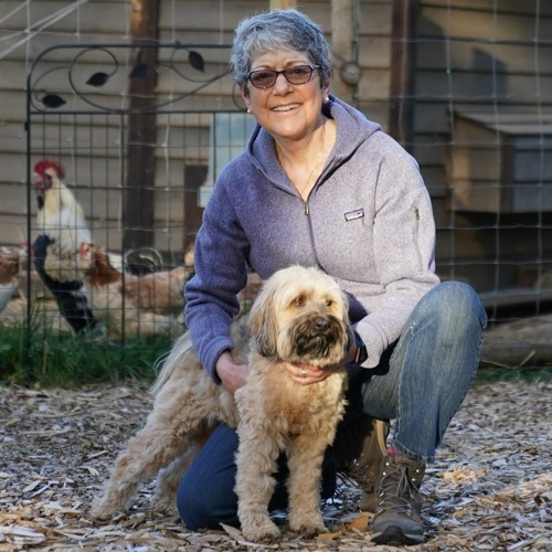 Stream episode Episode 35 - Susan Sokol Blosser, Sokol Blosser Winery ...