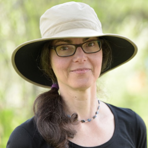 Stream Episode 111: Susan Poizner - Urban Orchardist by Nature ...