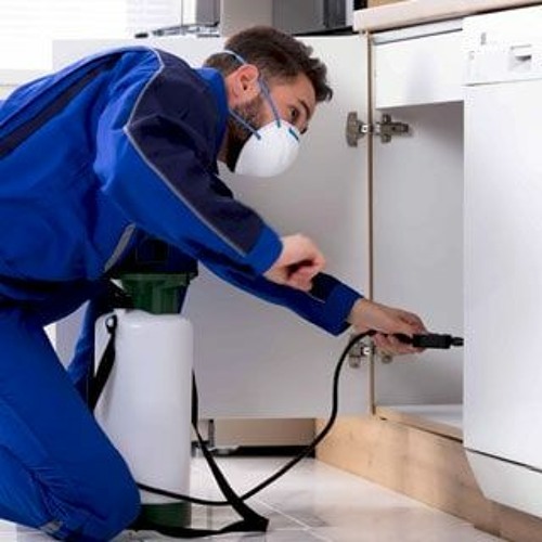 Stream episode Why Hiring A Licensed Pest Control Inspection Service Is ...