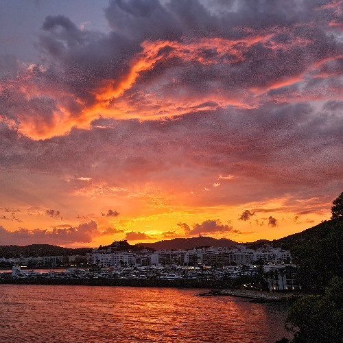 Anja Schneider - Squelch