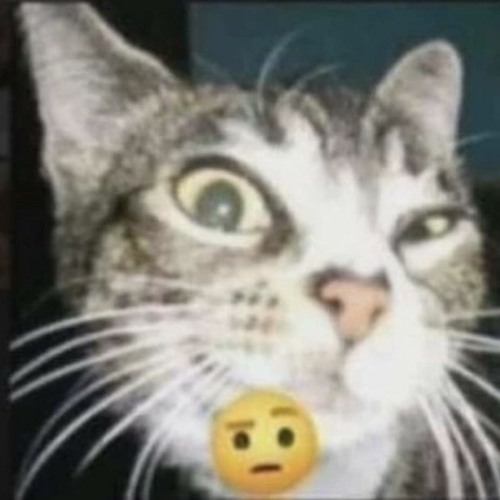 Stream ♡ ~ Sam ~ ♡ | Listen to mitski songs from very angry to very sad ...