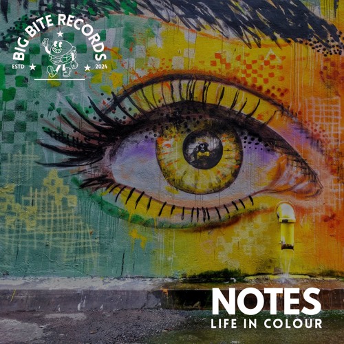 Stream Big Bite Records | Listen to NOTES - Life In Colour EP [Big Bite ...