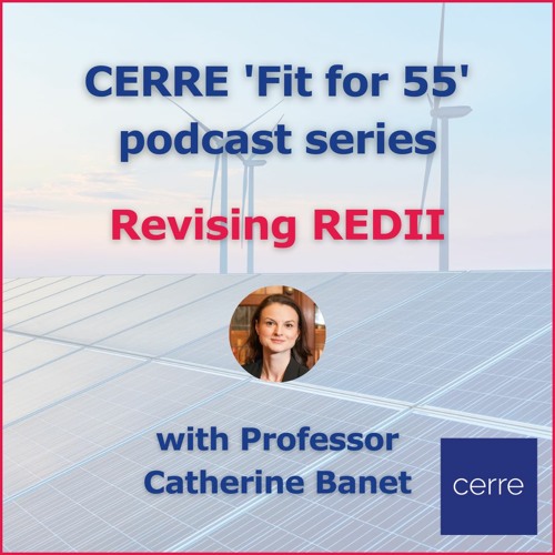 Stream Professor Catherine Banet discusses the revision of the recast ...