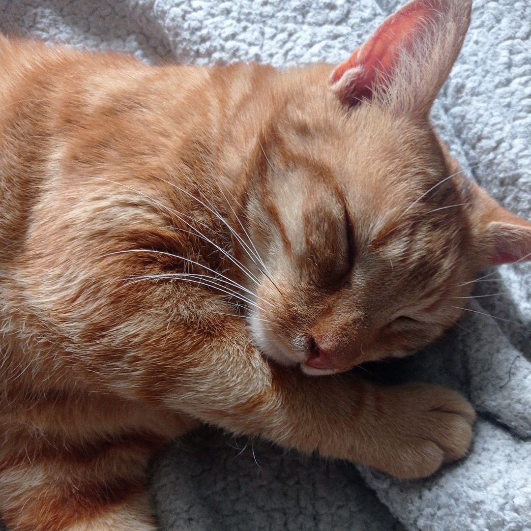 Stream FNF Dave & Bambi - Splitathon (Ascension Chill Remix) by 🏳️‍🌈🐯 ...