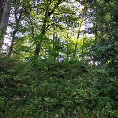 Stream Parque de la Acebera, Lugones, SPAIN by wild_rumpus | Listen ...