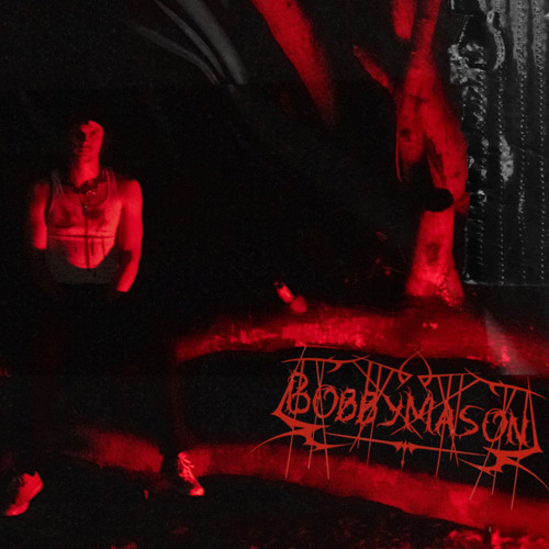 Stream | 2025 | SHOWCASE | by BOBBY MASON | Listen online for free on ...