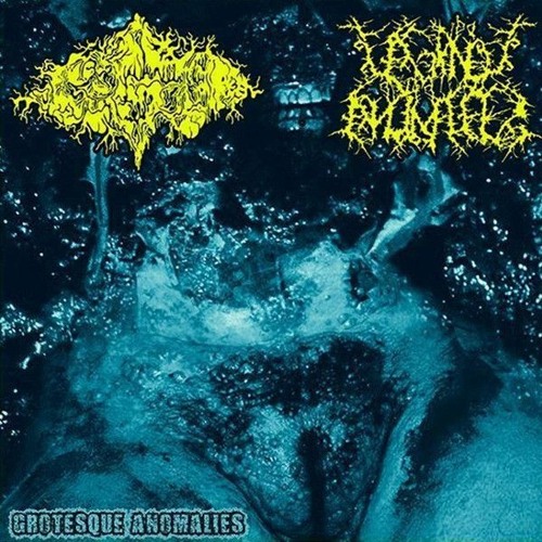 Stream Pigto - Prolapse by El choforo | Listen online for free on ...