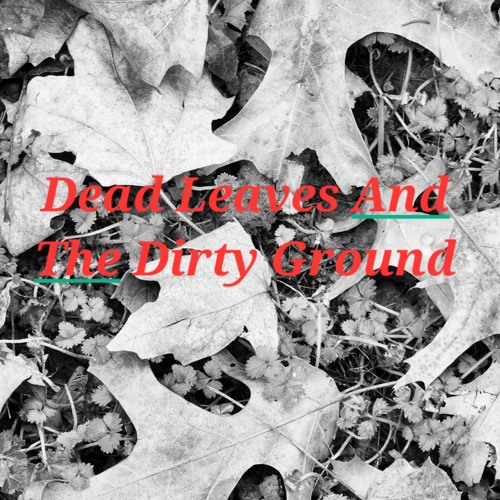 Stream Dead Leaves And The Dirty Ground Cover by Jenni Cary | Listen online for free on SoundCloud