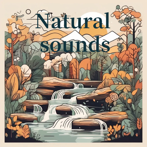 Stream International Watch Day by Lara Weiss | Listen online for free ...