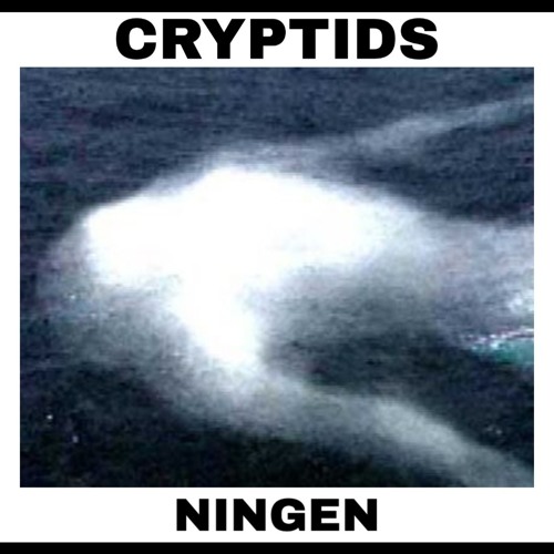 Stream CRYPTIDS Theme by NINGEN | Listen online for free on SoundCloud