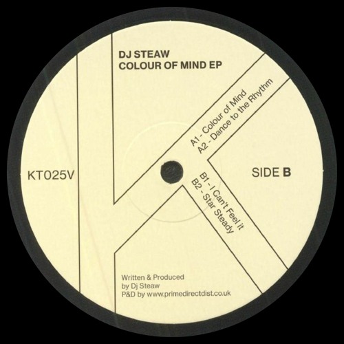 Stream PREMIERE: Dj Steaw - Star Steady [Kaoz Theory] by Houseum ...