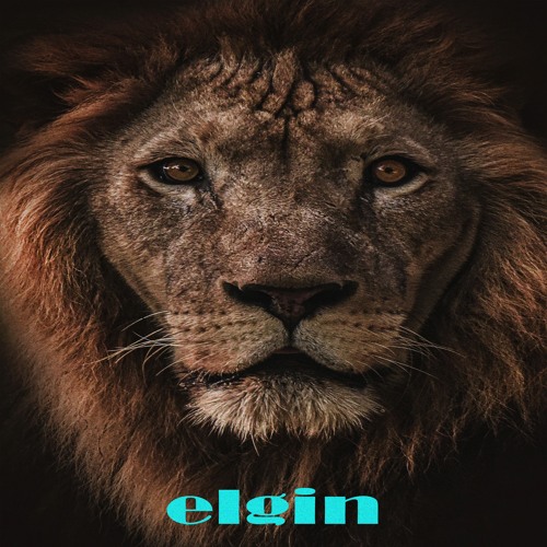 Stream The Animal, Vol. 1 by Elgin | Listen online for free on SoundCloud