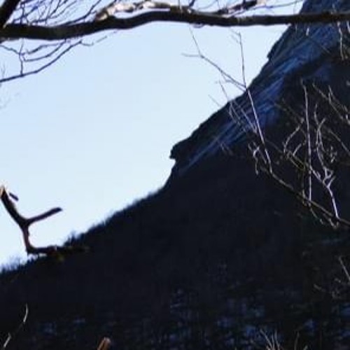 Stream Sarah Letendre Old Woman Of The Mountain by WZID-FM | Listen ...