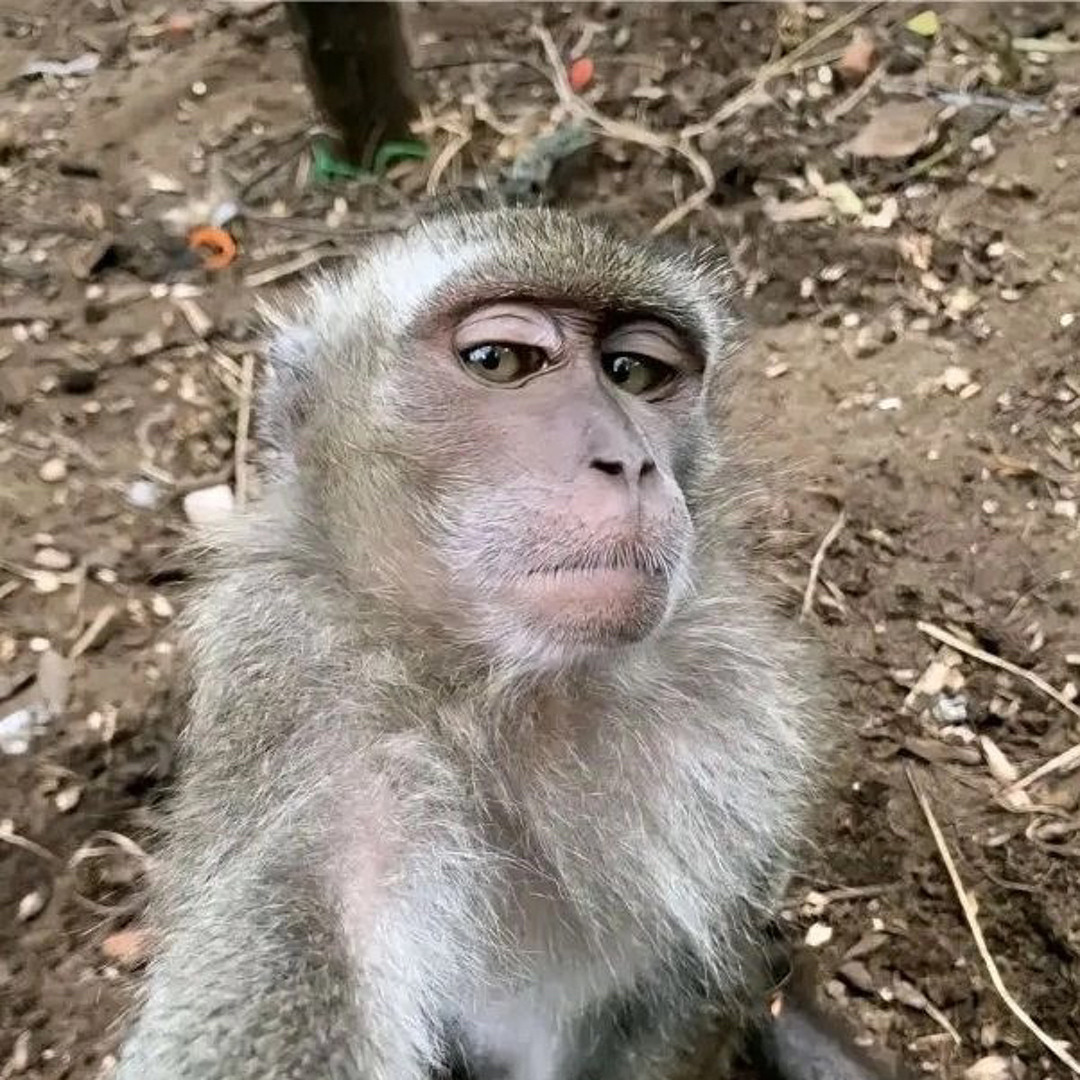 Stream chin check me ( jersey club ) mccverrtt by audios2025👤 | Listen ...