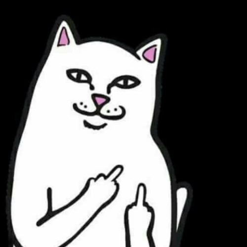 Stream Nigga w/ GANG by Ms. Don’t Bullshit | Listen online for free on ...