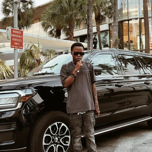 Stream RajahWild - Dolly House by WBT Records | Listen online for free ...