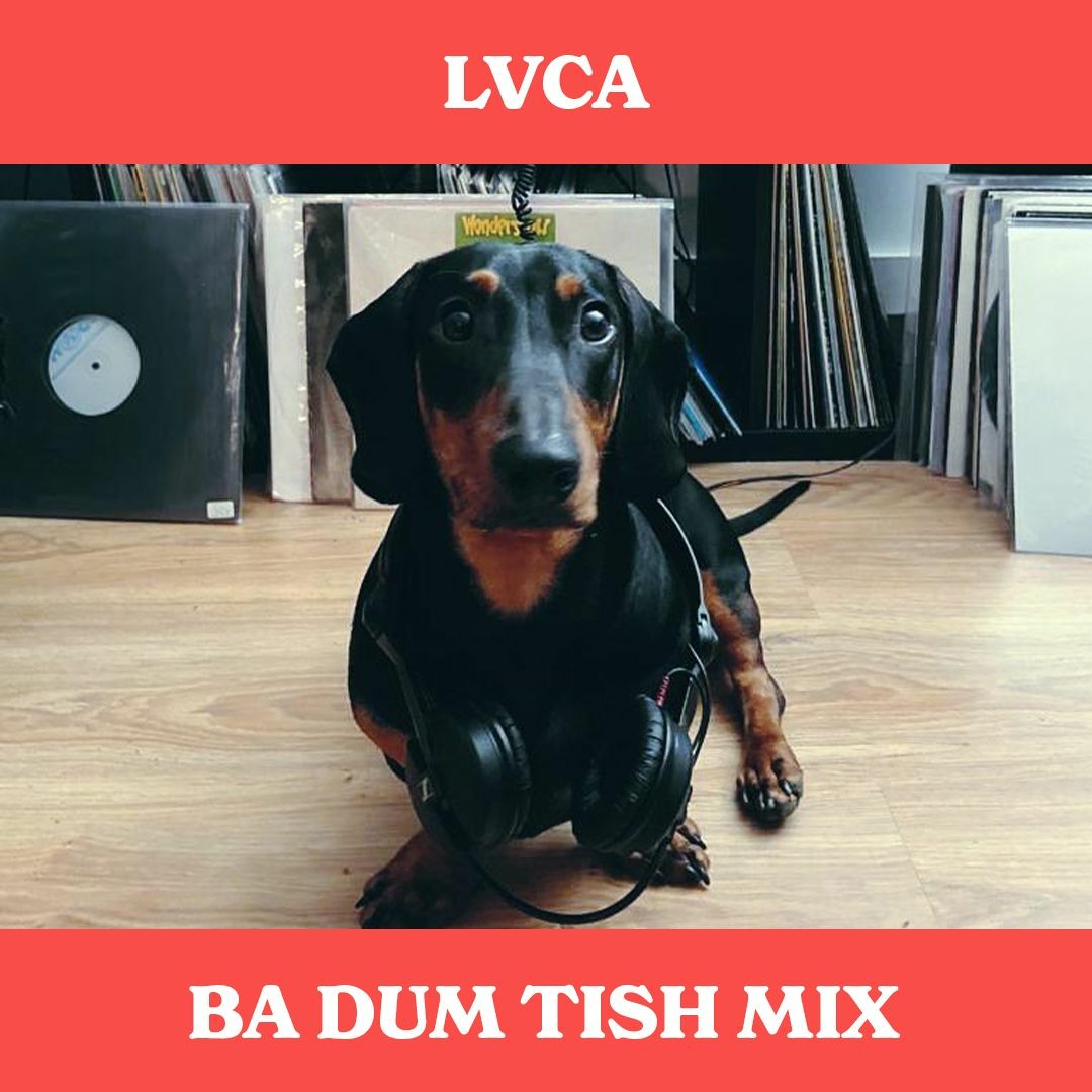 Stream LVCA - Ba Dum Tish Mix by Ba Dum Tish | Listen online for free ...