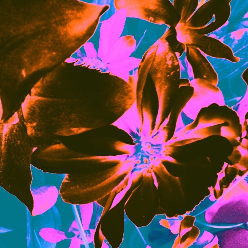Stream Parlour Club 'Starcrossed' (Instrumental) by Derbie | Listen ...