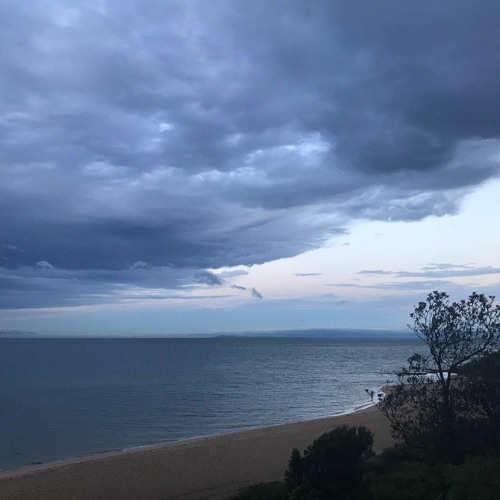 Stream Careerwellbeing Listen To Career Wellbeing Visualisation Of