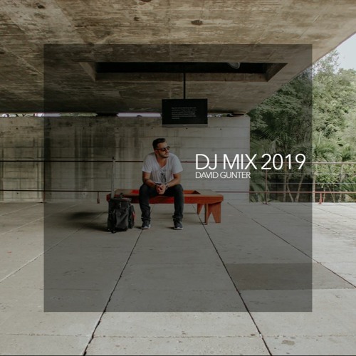Stream DJ MIX 2019 by David Gunter | Listen online for free on SoundCloud