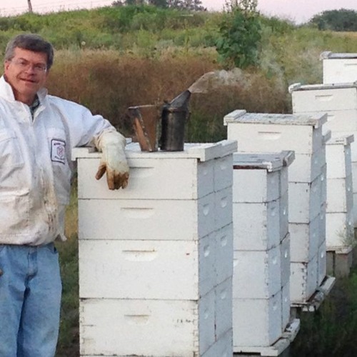 Stream Master beekeeper Ward Hicks promotes the importance of ...