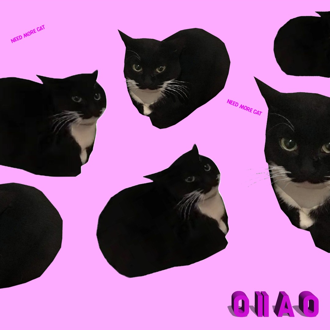 Stream O I I A O (CAT MEME REMIX) [FREE DOWNLOAD] by Sweets | Listen ...