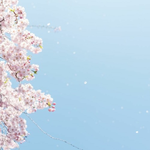 Stream Cakewalk by Return to Ritual | Listen online for free on SoundCloud