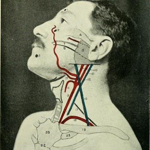 Korosareta - Compilation 01 - Payhip
