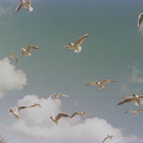 Stream sleeprelapse + vvsrenjii - king tut (sleep + geam) [8Teen ...