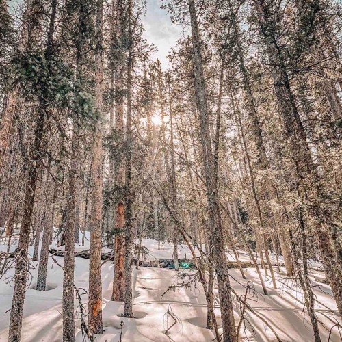 Stream Seeking Answers: Part 1 by Praying With the Eyes | Listen online ...