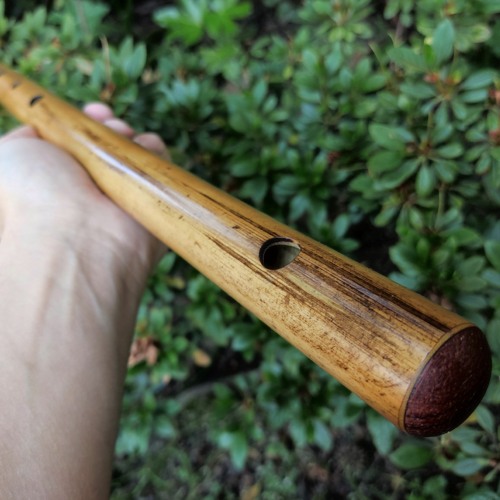 Stream E minor pentatonic oriental flute.aac by Rui Gomes | Listen ...