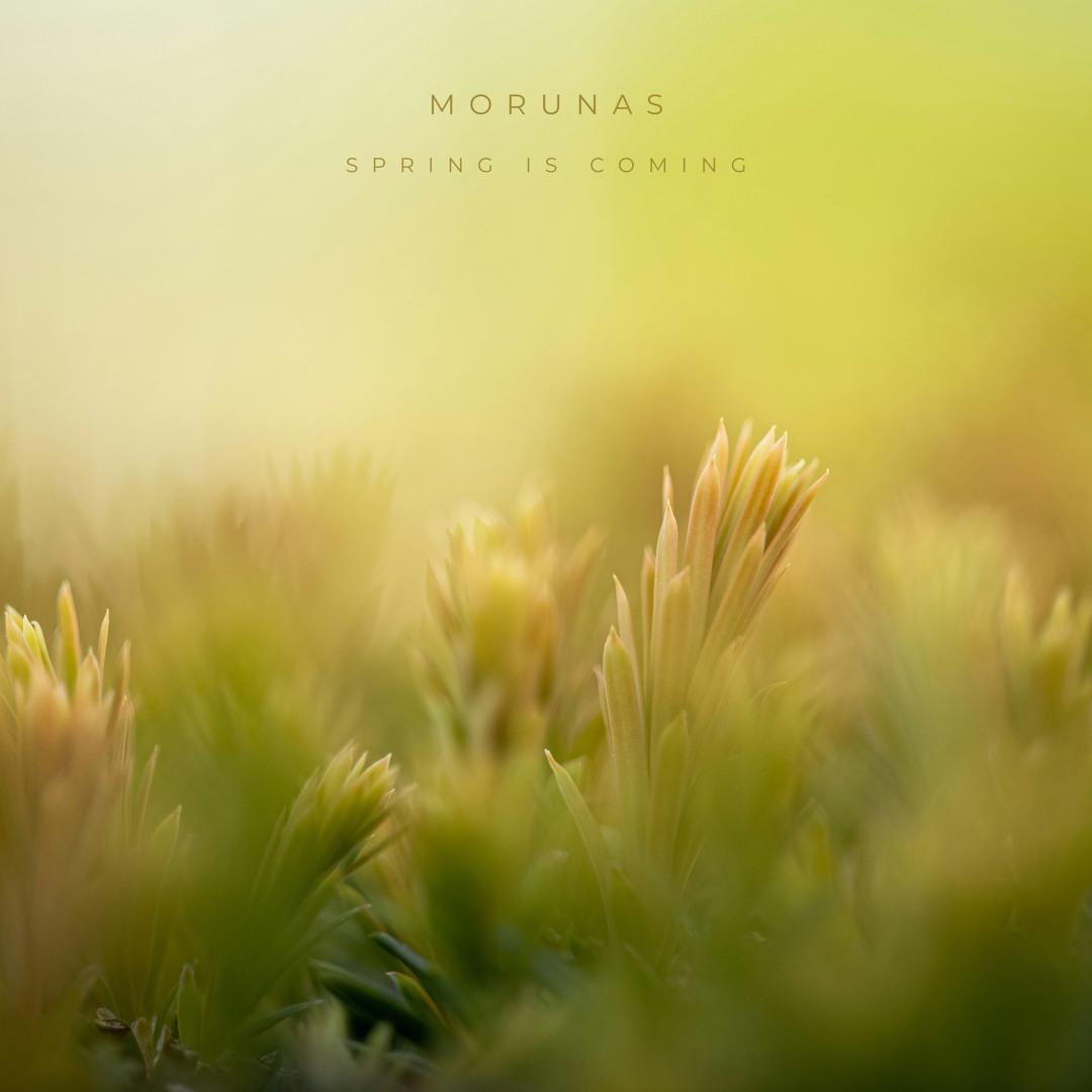 Stream Spring is Coming by Morunas | Listen online for free on SoundCloud