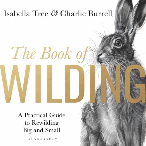 Stream The Book of Wilding by Isabella Tree and Charlie Burrell, read ...